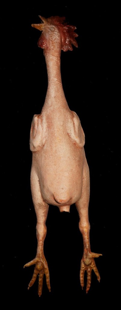 Village Simulation Meat Market | Casualty Simulation